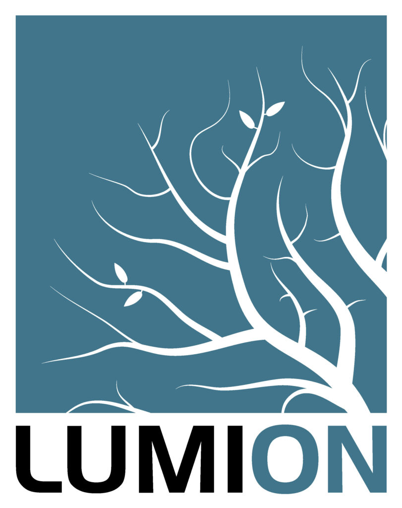 Lumion 11 Released - Metal Architecture